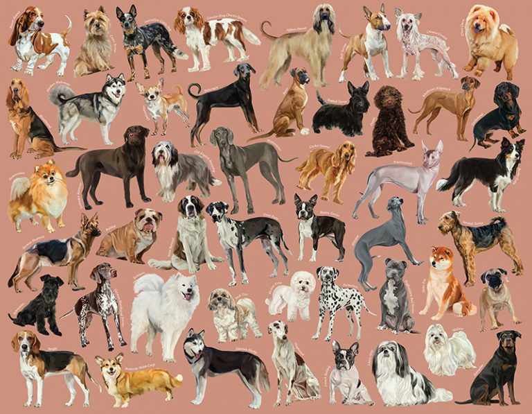 Iconic Dogs – Smith Street Books