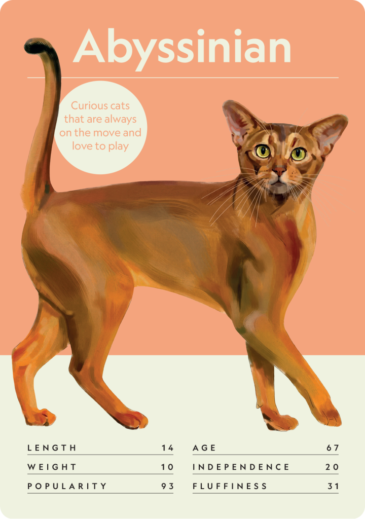 Cat Nerd: Battle of the Breeds – Smith Street Books