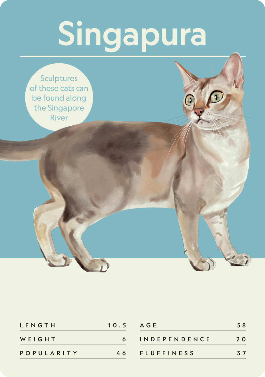 Cat Nerd: Battle of the Breeds – Smith Street Books