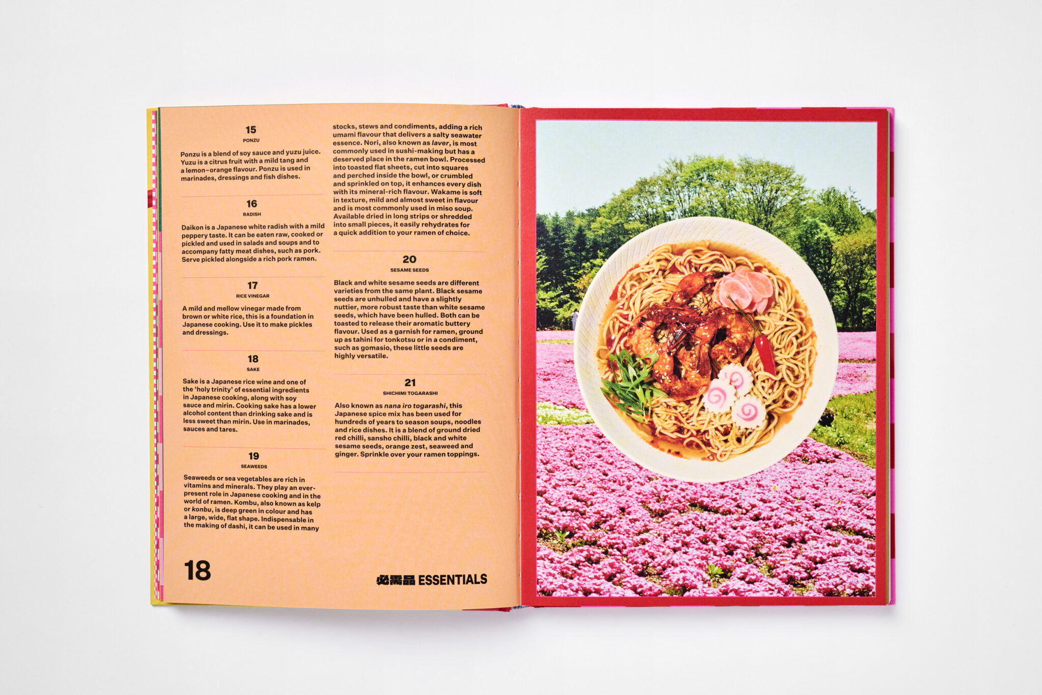 Ramen for Days – Smith Street Books